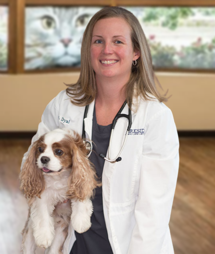 Dr. Amanda Dyal, DVM | Parkside Animal Care Center